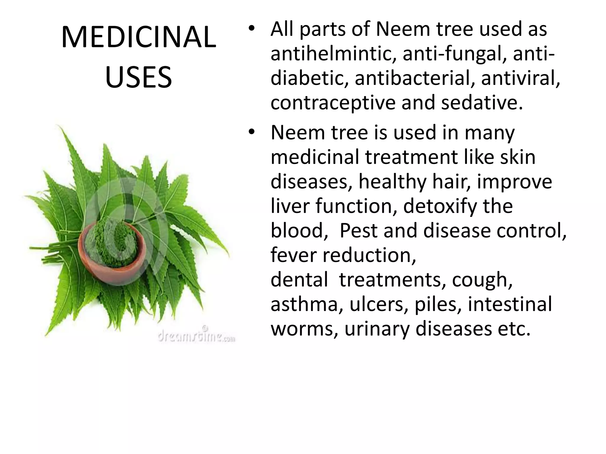 Neem | PPTX