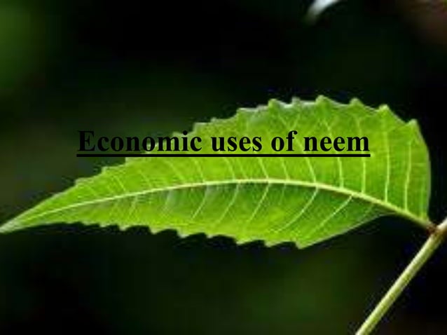 Neem | PPTX