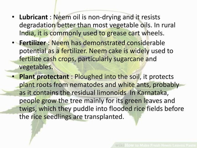 Neem | PPTX