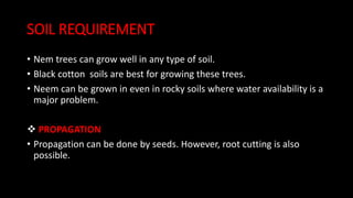 Neem and its cultivation and active constituents or phyto chemicals. | PPTX