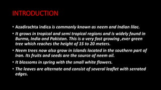 Neem and its cultivation and active constituents or phyto chemicals. | PPTX