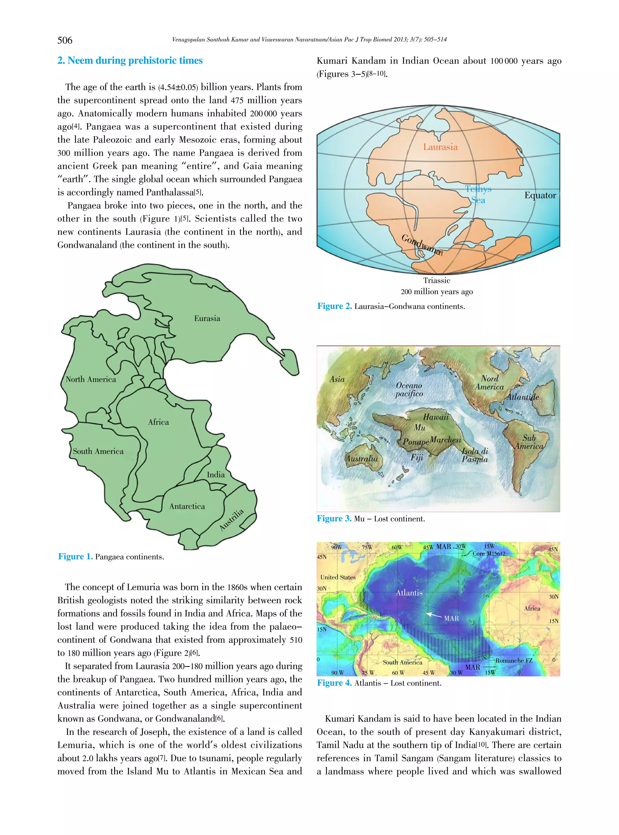 Neem (azadirachta indica) --prehistory to contemporary medicinal uses ...