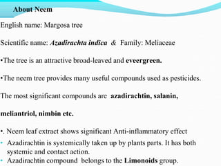Neem based product | PPTX | Gardening | Home & Garden