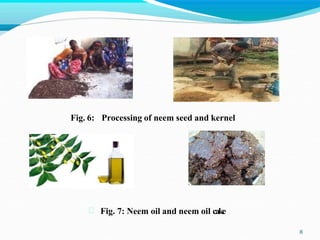 Neem based product | PPTX | Gardening | Home & Garden