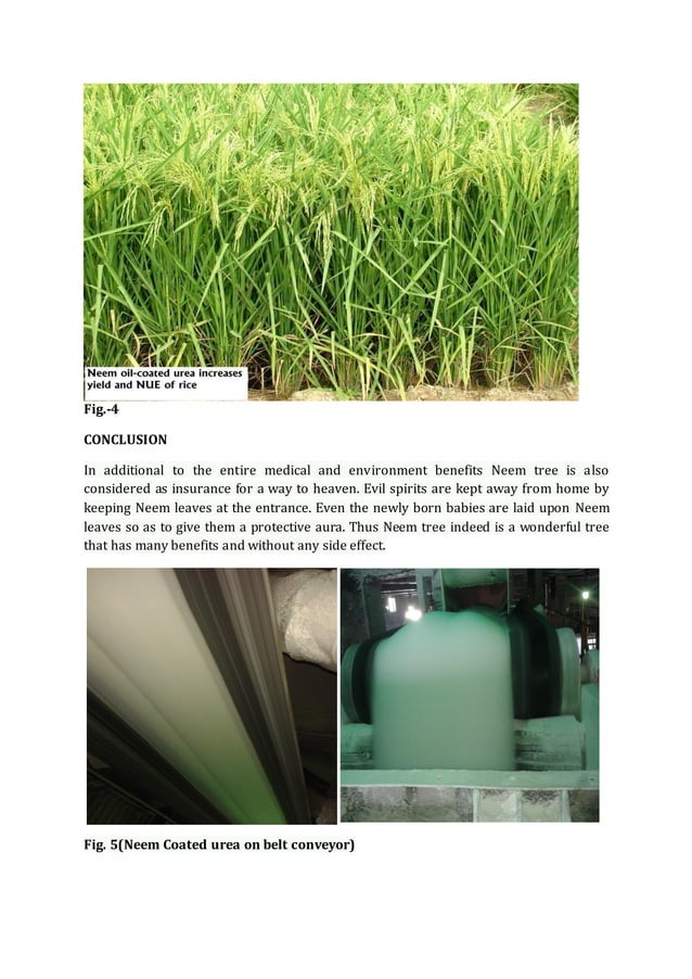 Neem coated urea an eco friendly approaches | PDF | Agriculture ...