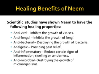 Neem in Health care | PPT