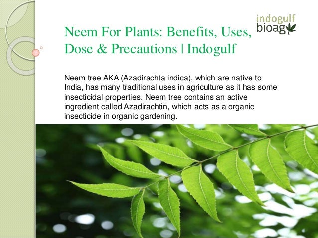 Find Out The Benefits Of Neem For Plant Protection - Indogulf | PPTX