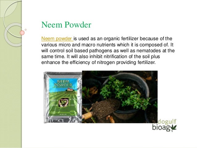 Find Out The Benefits Of Neem For Plant Protection - Indogulf | PPTX