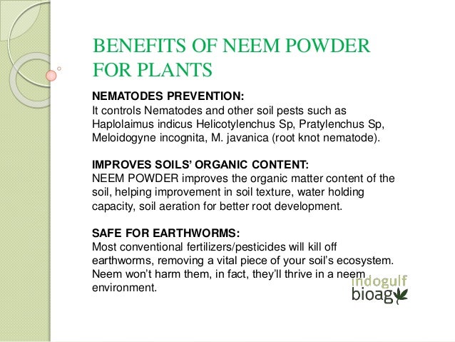 Find Out The Benefits Of Neem For Plant Protection - Indogulf | PPTX