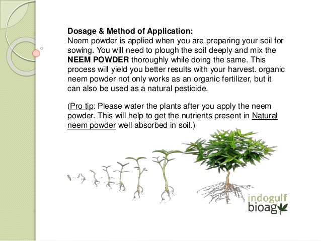Find Out The Benefits Of Neem For Plant Protection - Indogulf | PPTX