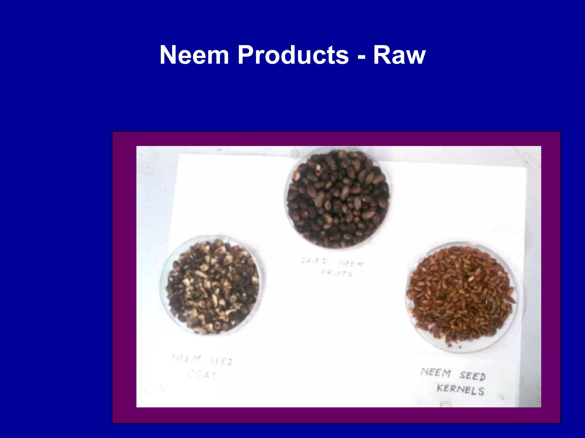 Neem in nemas mgt by Vikas Bamel (2012) | PPT