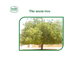 Neemland ecosystem | PDF