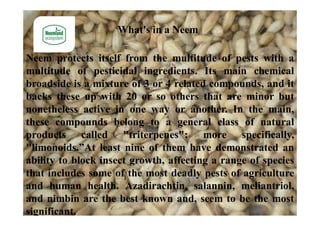 Neemland ecosystem | PDF