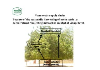 Neemland ecosystem | PDF