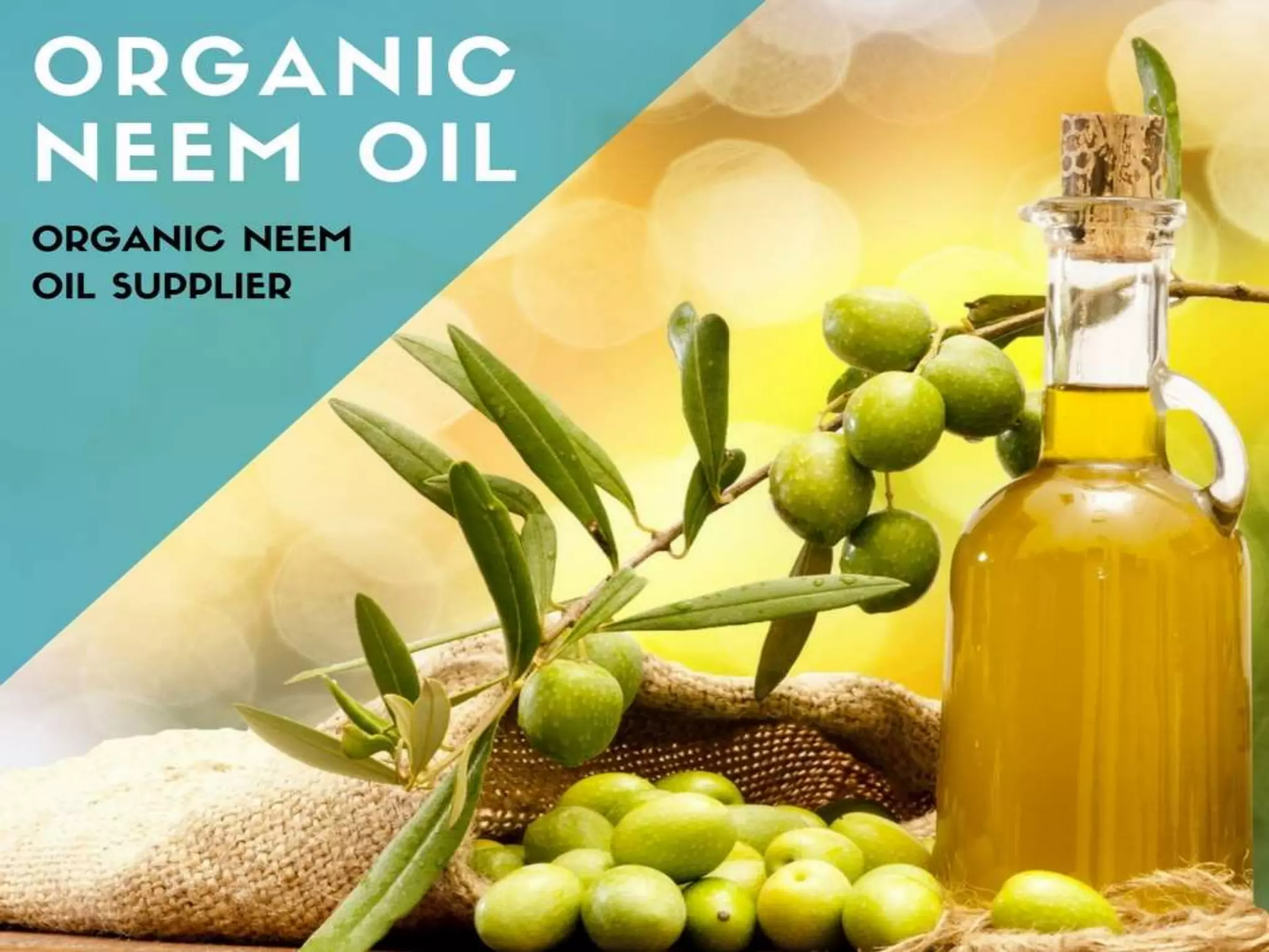 Organic Neem Oil Wholesaler | PPT