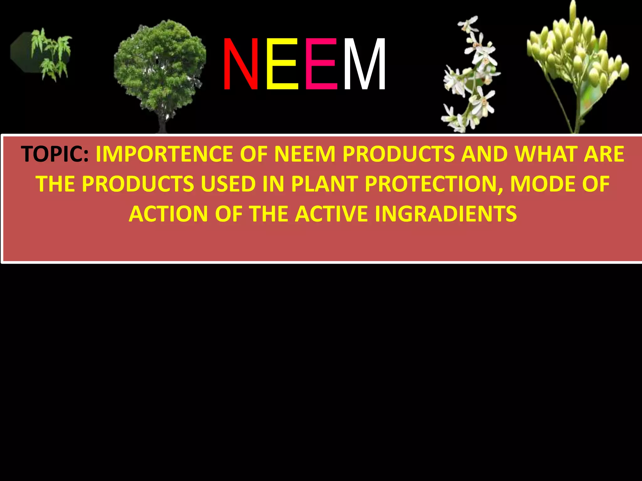 Neem products used in plant protection | PPTX