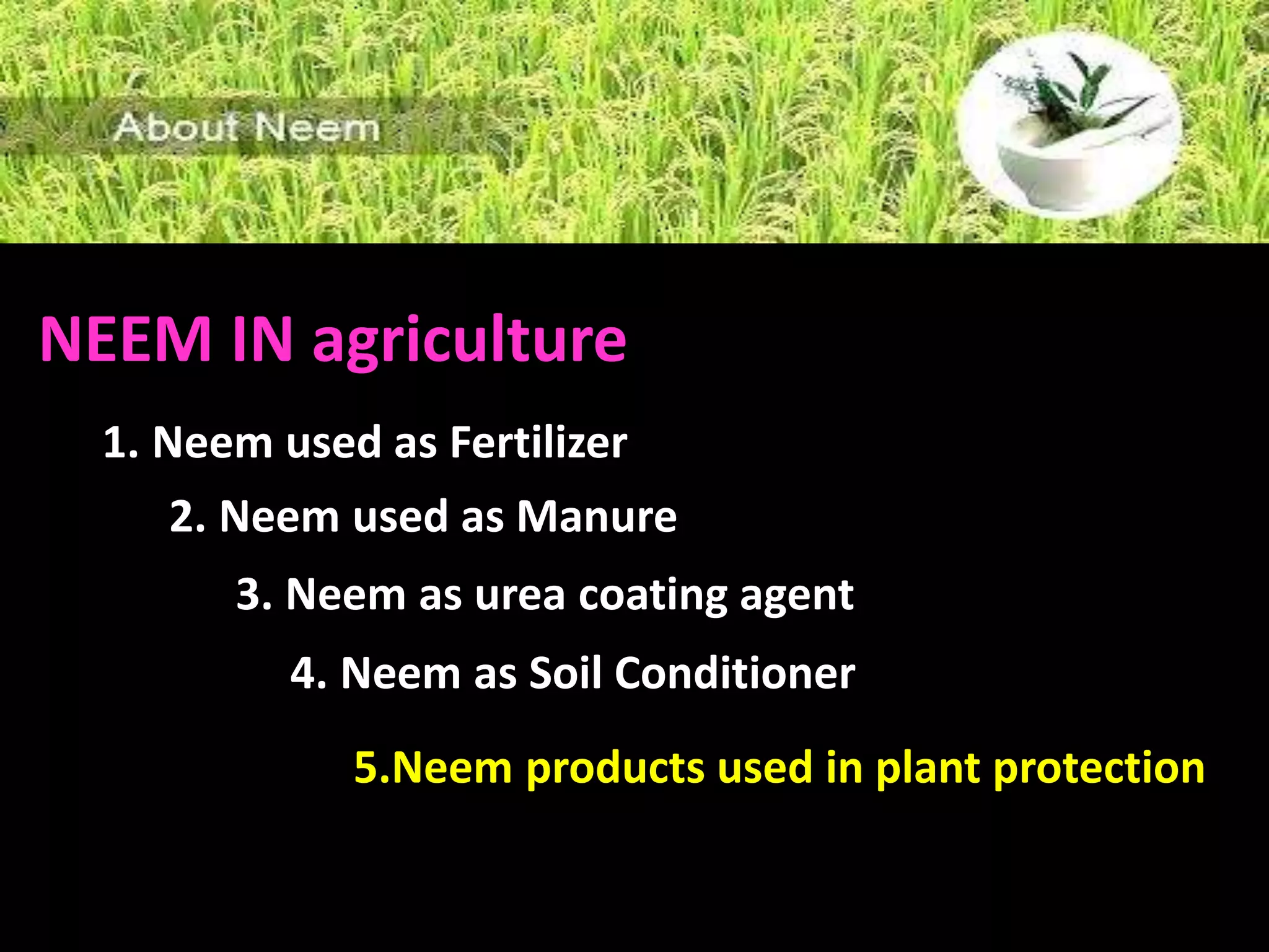 Neem products used in plant protection | PPTX