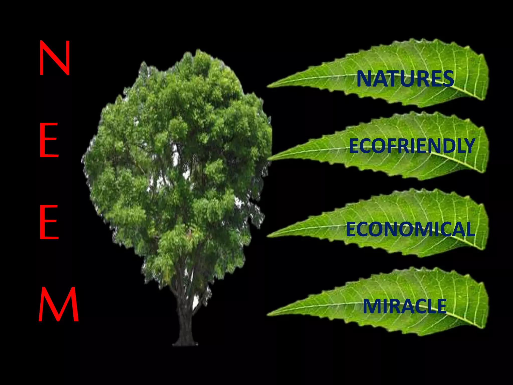 Neem products used in plant protection | PPTX