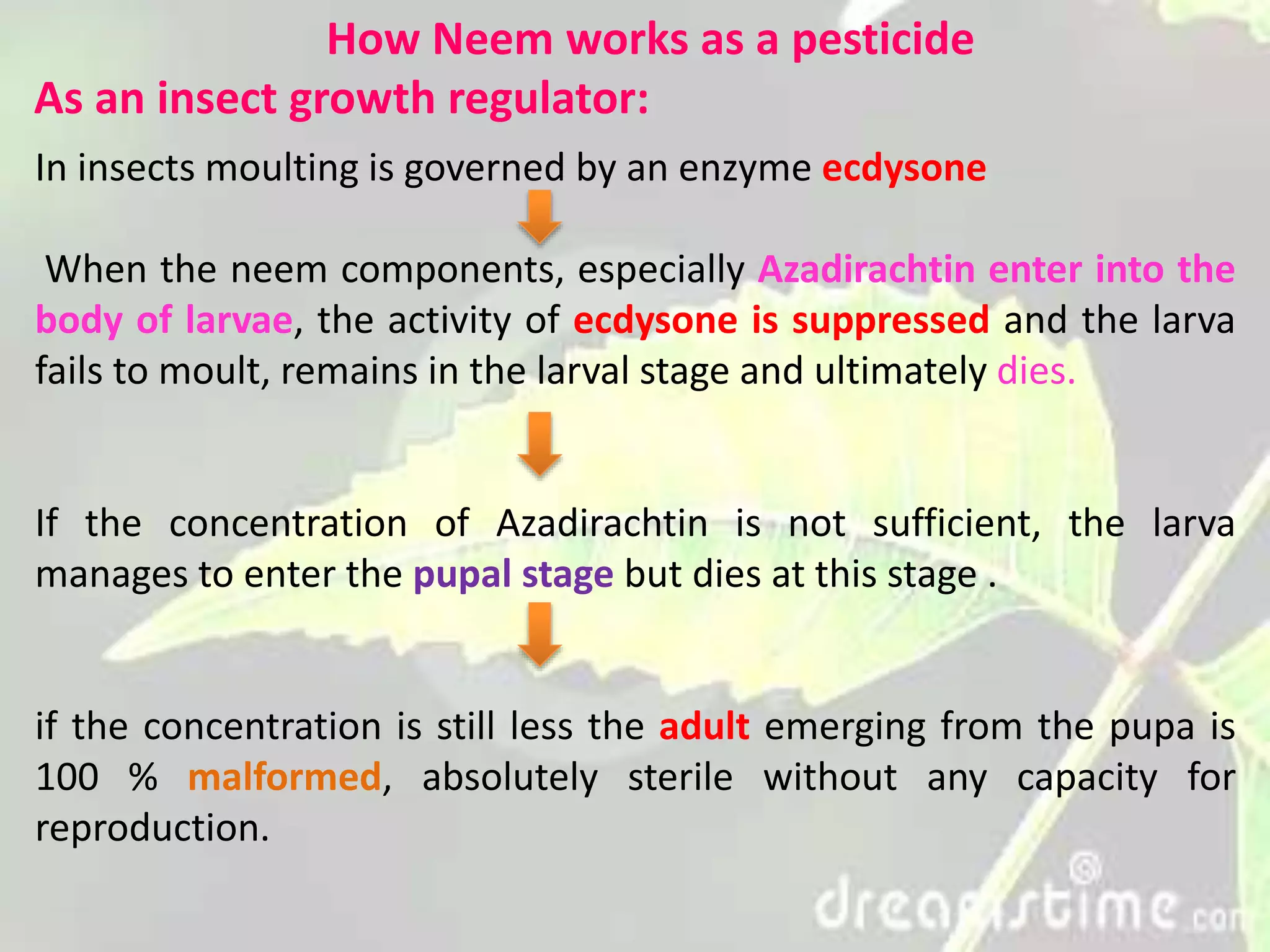 Neem products used in plant protection | PPTX