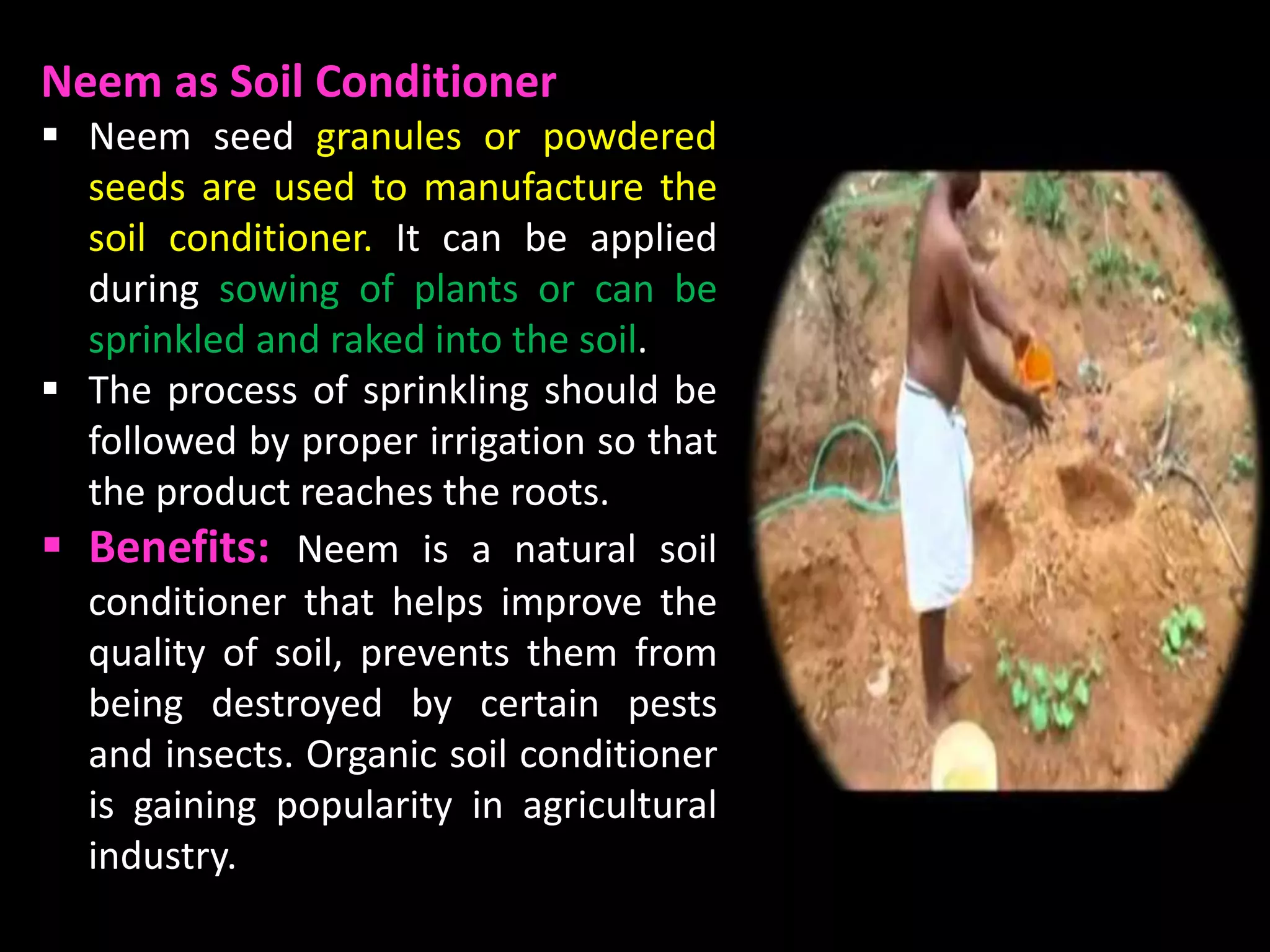 Neem products used in plant protection | PPTX