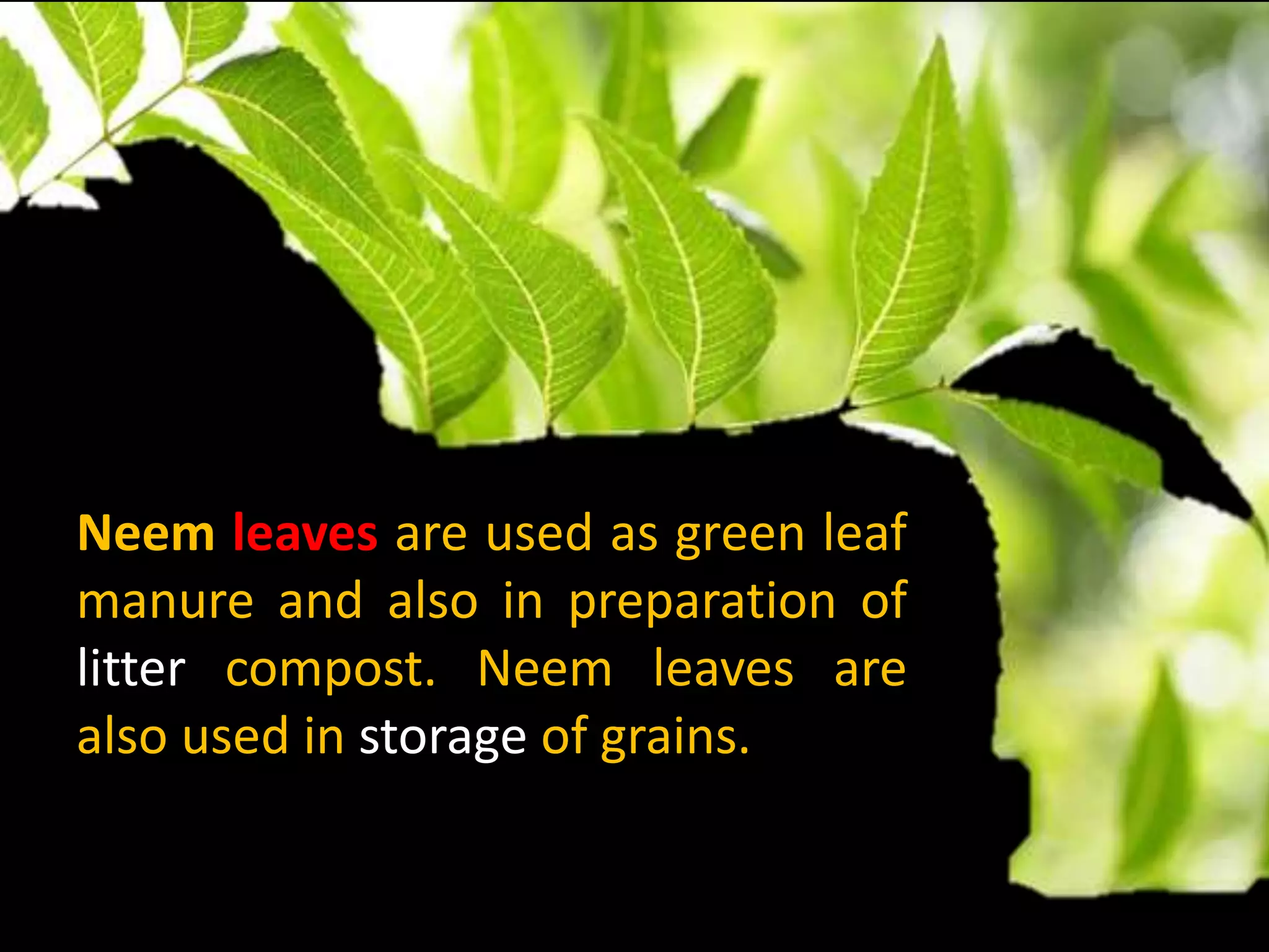 Neem products used in plant protection | PPTX