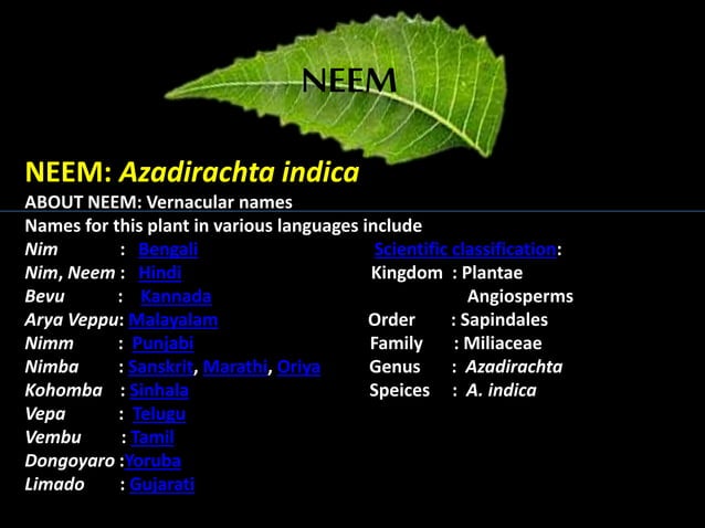 Neem products used in plant protection | PPTX | Gardening | Home & Garden