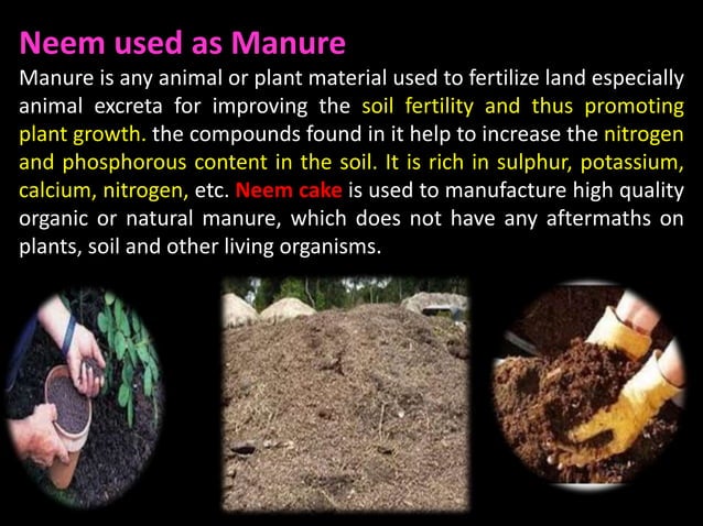 Neem products used in plant protection | PPTX | Gardening | Home & Garden