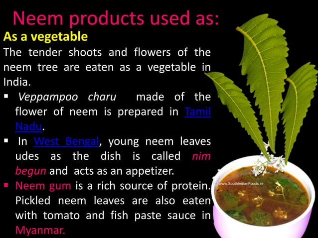 Neem products used in plant protection | PPTX | Gardening | Home & Garden