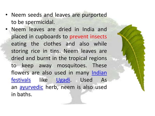 Neem products used in plant protection | PPTX | Gardening | Home & Garden