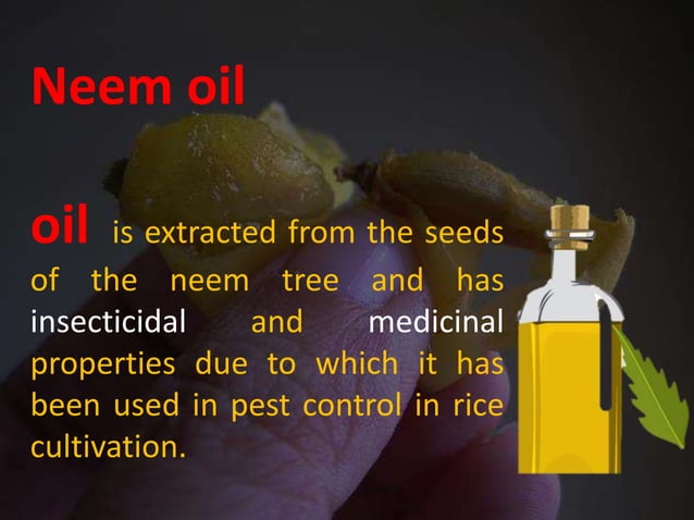 Neem products used in plant protection | PPTX | Gardening | Home & Garden