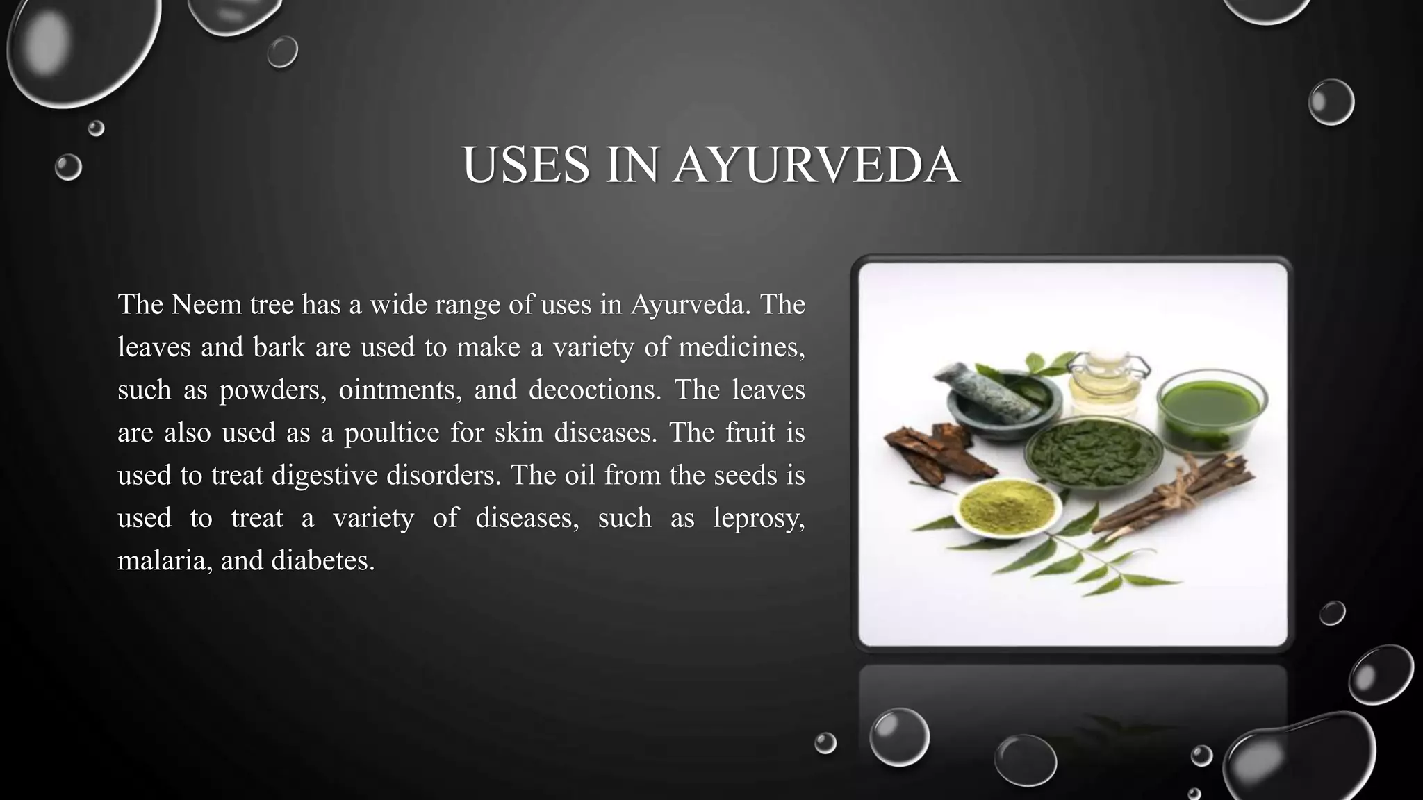 NEEM TREE PPT.pptx