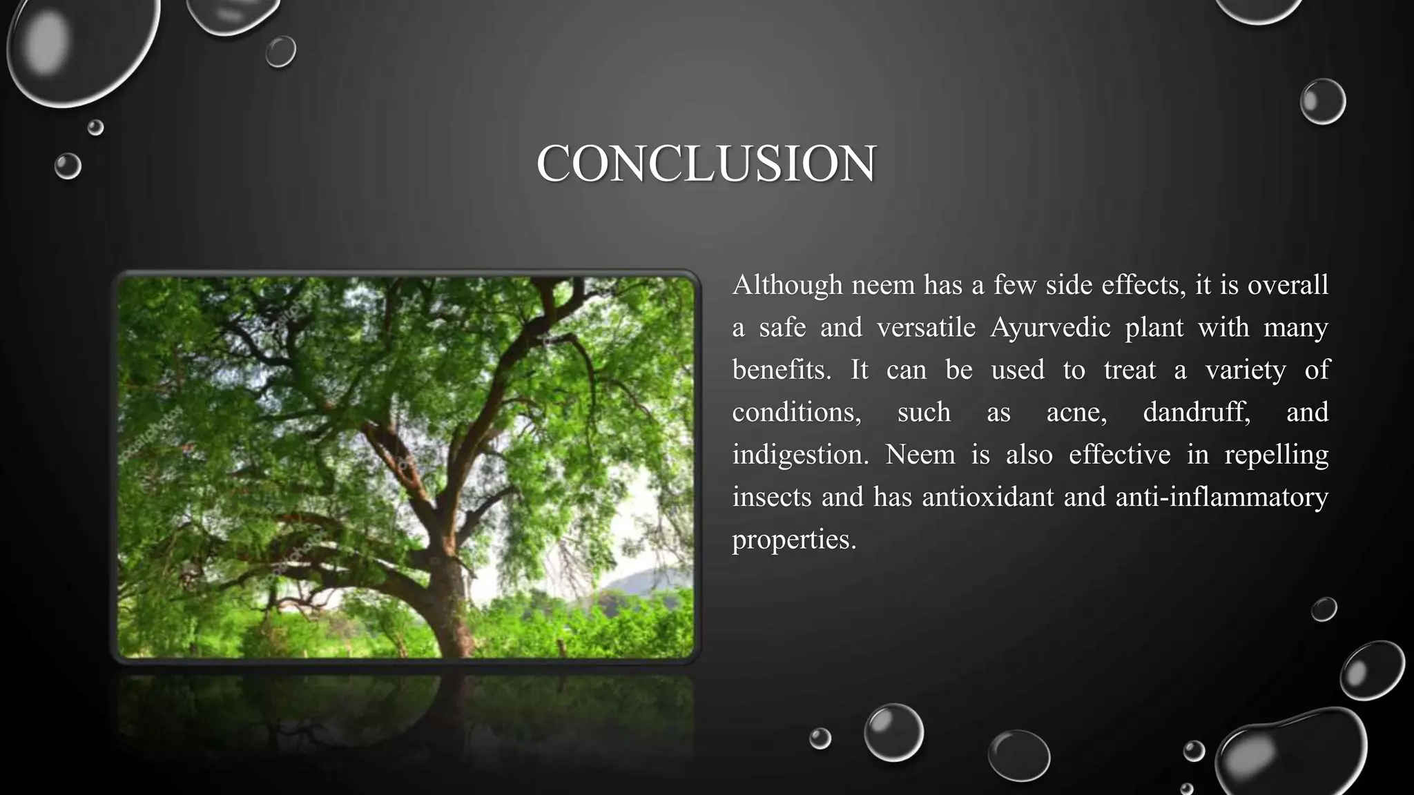 NEEM TREE PPT.pptx