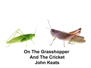 Powerpoint Presentation | PPT