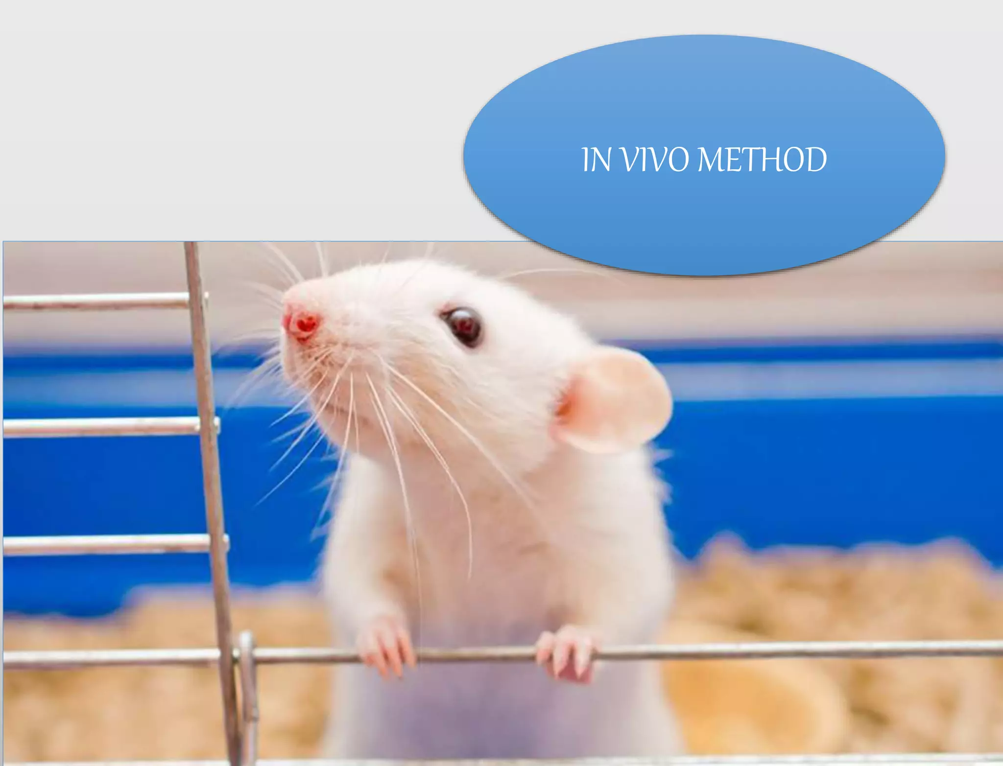 Screening Methods of Parkinson's Disease | PPTX