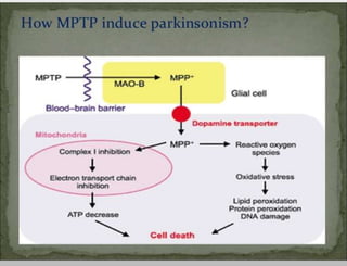Screening Methods of Parkinson's Disease | PPTX