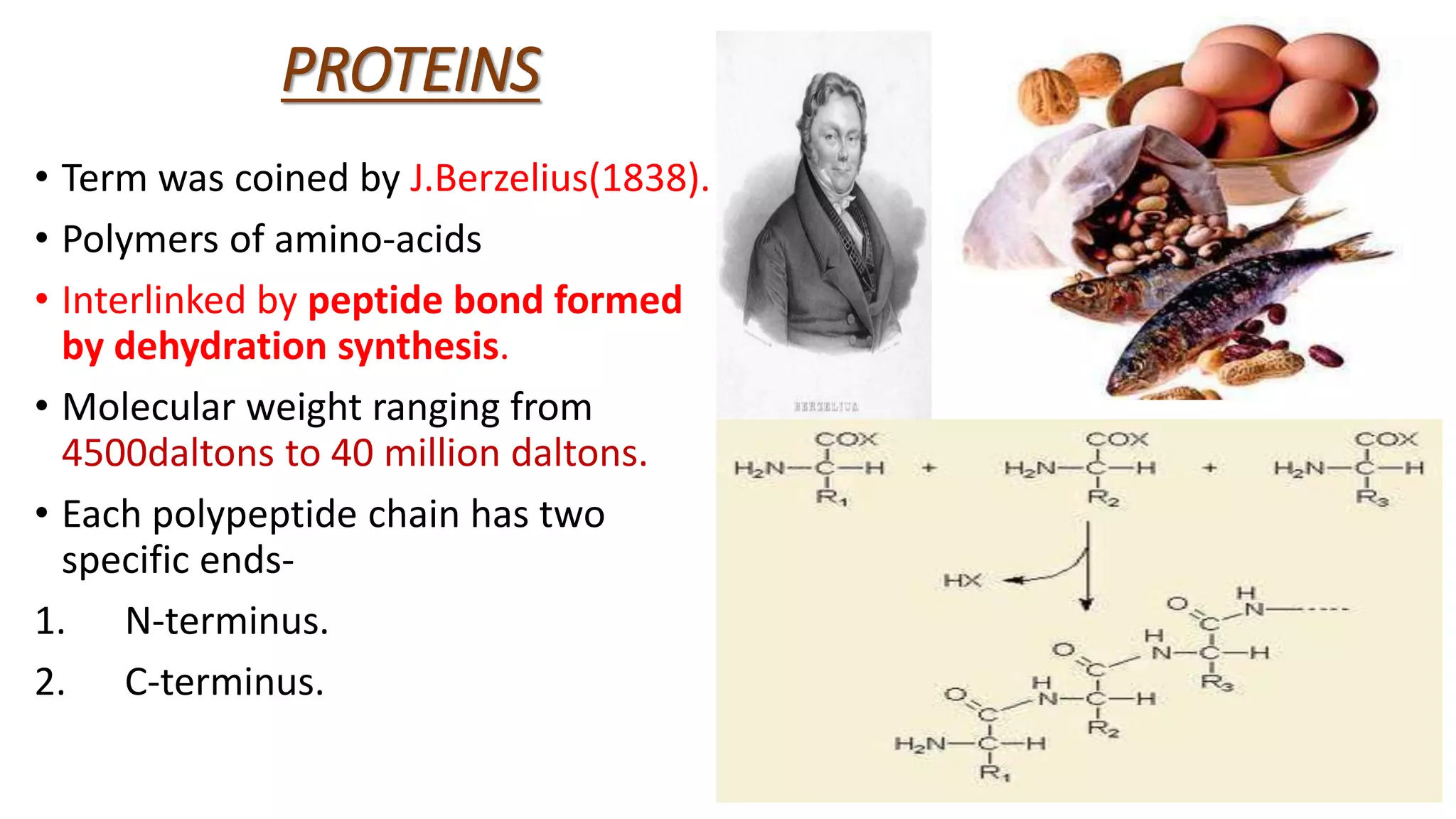 Presentation on proteins.pdf