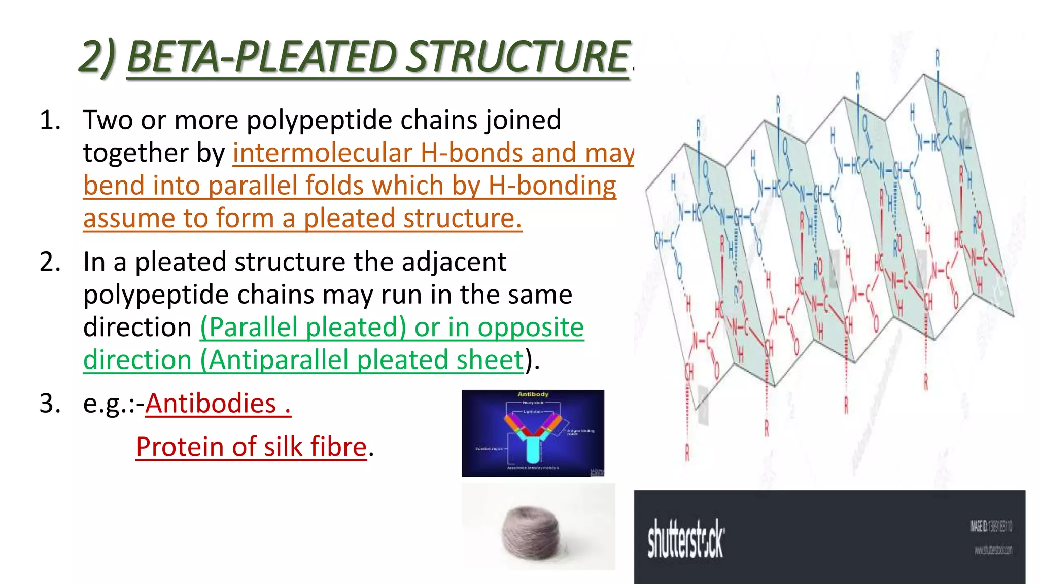Presentation on proteins.pdf
