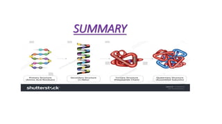 Presentation on proteins.pdf