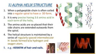 Presentation on proteins.pdf