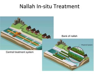 Phytorid for bio-remediation of lakes | PPTX