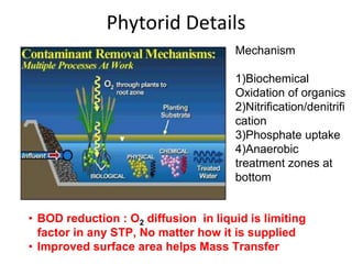 Phytorid for bio-remediation of lakes | PPTX