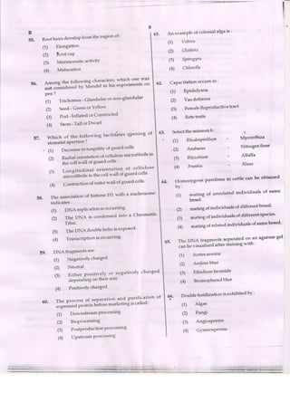 Neet 2017-question-paper-code-b | PDF