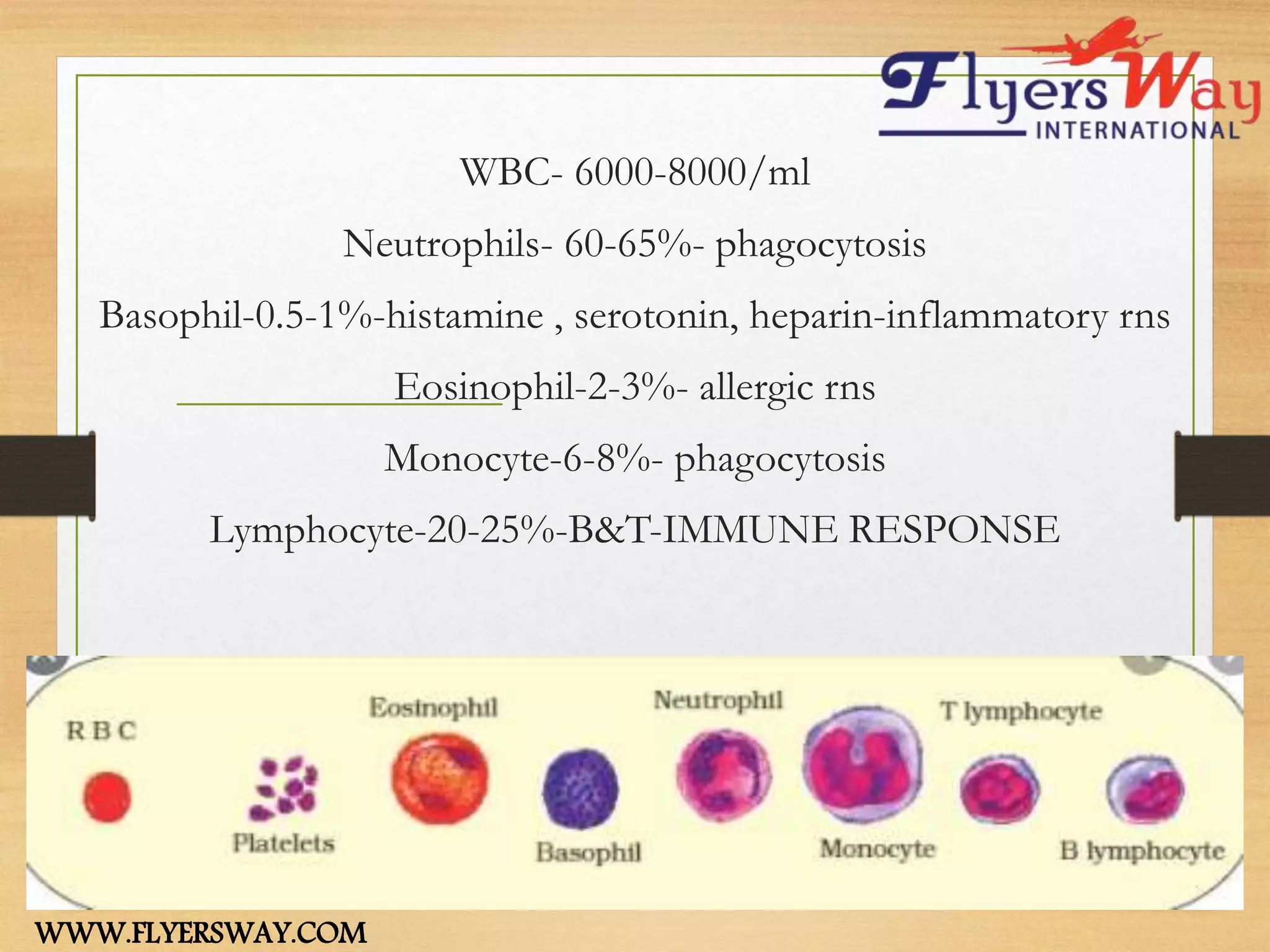 Neet body fluids & circulation | PPT Neet body fluids & circulation | PPT
