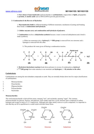 Important Notes - NEET - Biology - Cell Structure and Function | DOCX