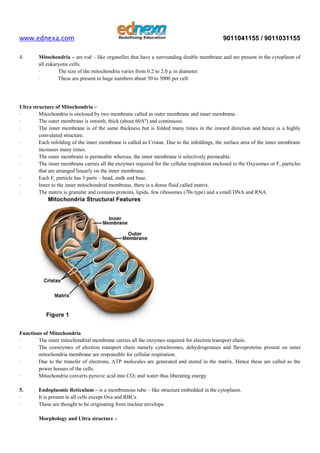Important Notes - NEET - Biology - Cell Structure and Function | DOCX