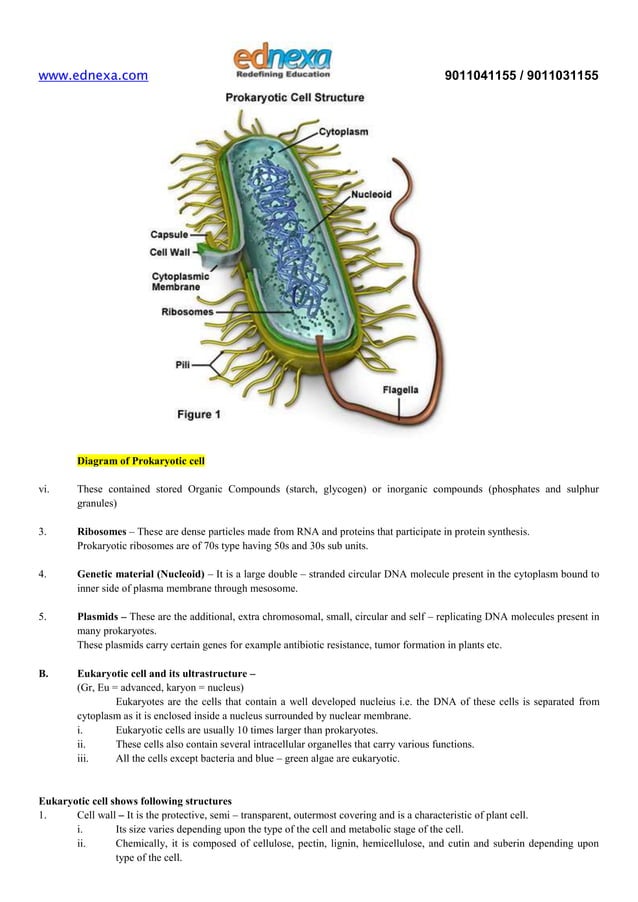 Important Notes Neet Biology Cell Structure And Function