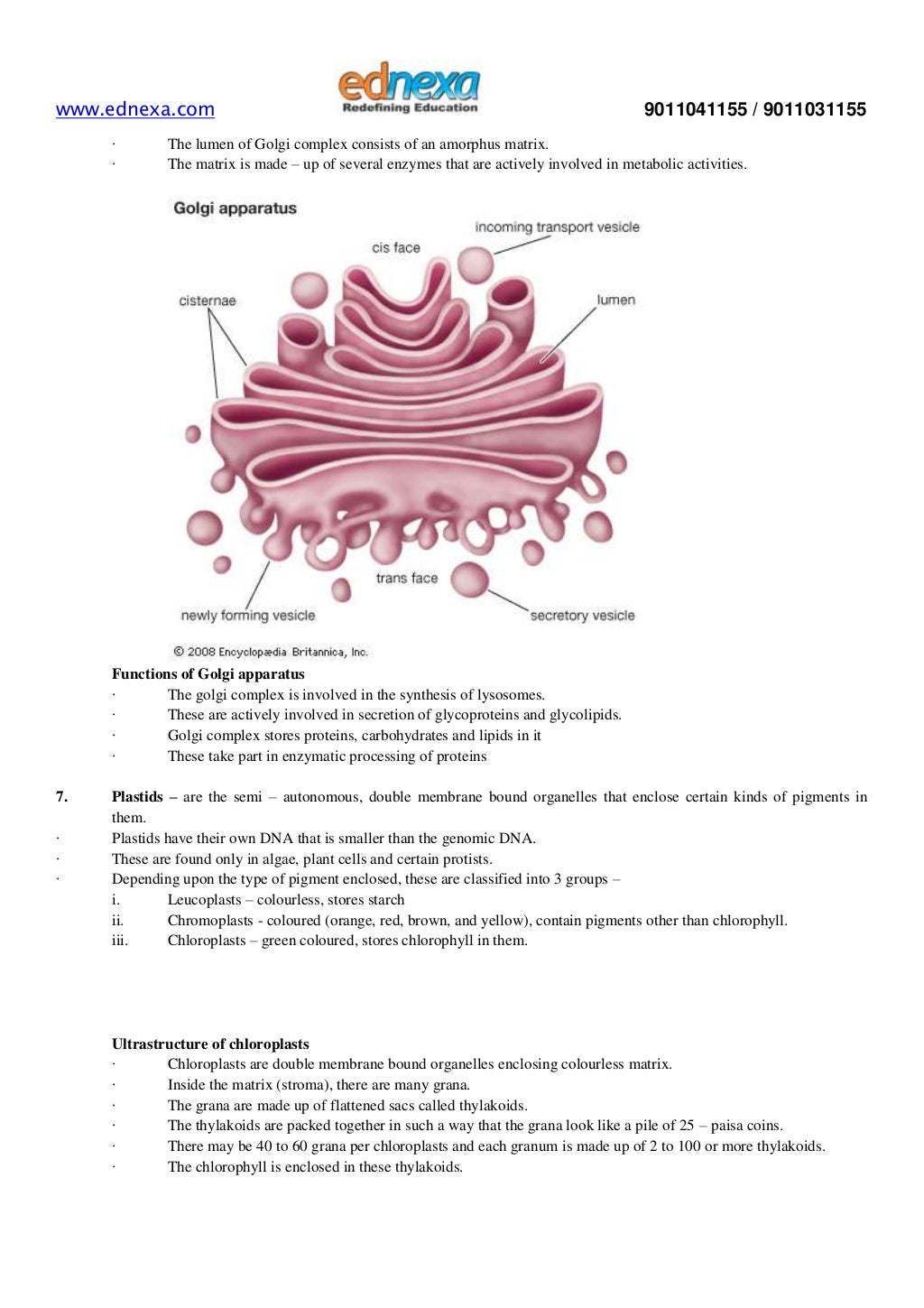 Pdf Biology Neet Toppers Notes Free Download For And Cbse Pin On pdf-biology-neet-toppers-notes-free-download-for-and-cbse-pin-on