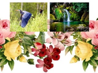 Neethu power point | PPT