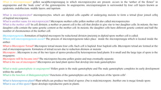 NEET BIOLOGY part 3 by daleson | PPT