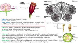 NEET BIOLOGY part 3 by daleson | PPT